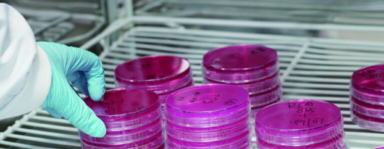 Microbiological Challenge Testing Mérieux NutriSciences